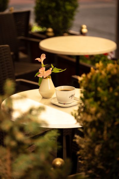 Top 8 Katowice Outdoor Bars – Perfect For Spring and Summer In The City